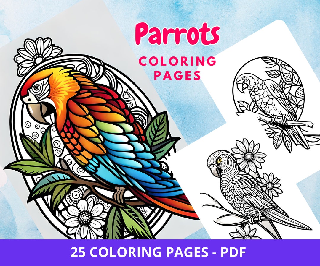 25 Parrots Coloring Book 8.5x11 and A4 Size PDF Parrot - Etsy