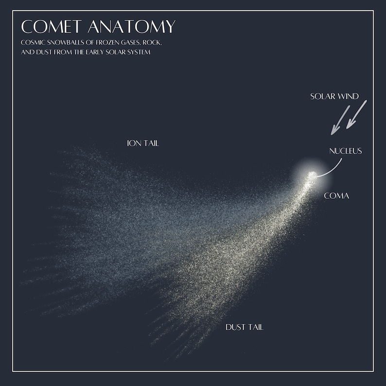 Comet Anatomy Poster, Digital Download, Wall Art, Planetary Science ...