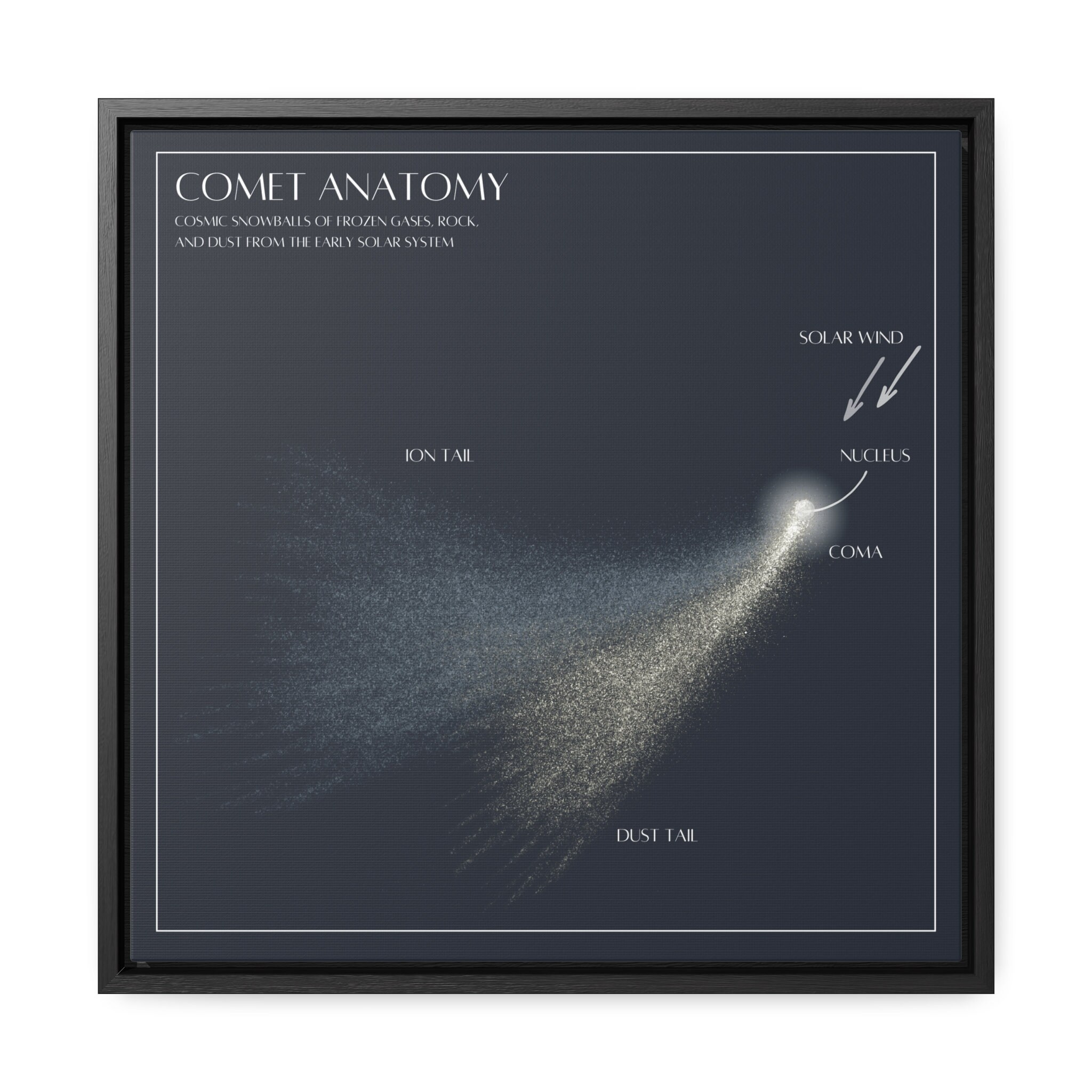 Comet Anatomy Poster Wall Art Premium Framed Canvas Various - Etsy