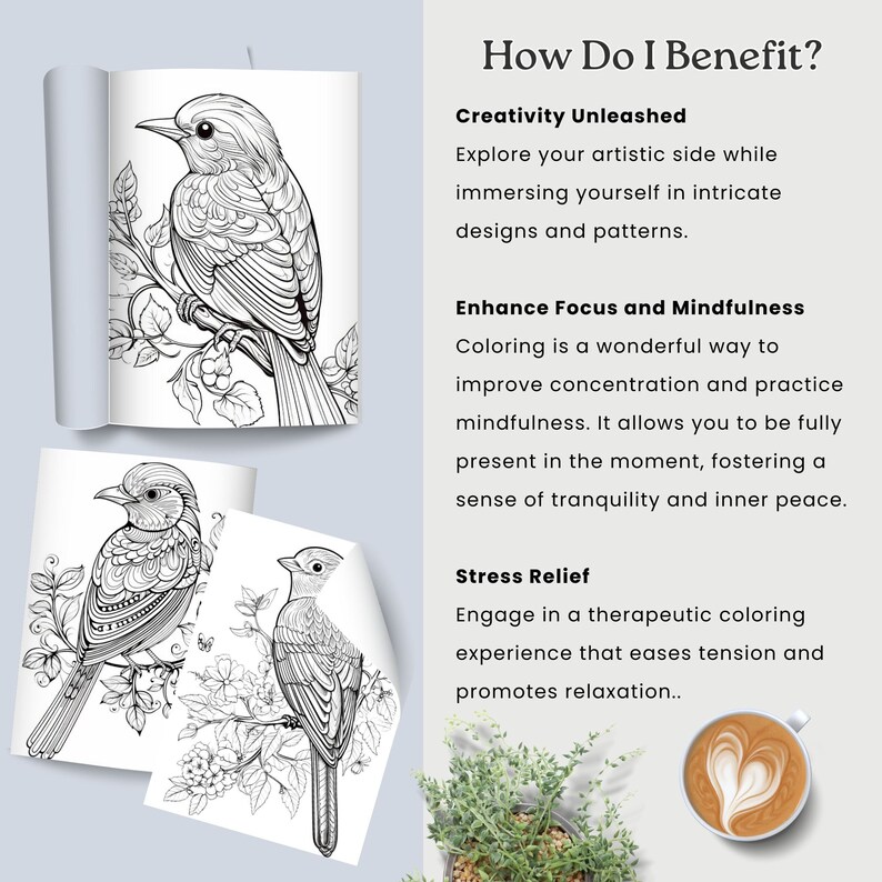 Coloring Birds Images for Mindfulness Mandala Pattern Coloring Page for ...