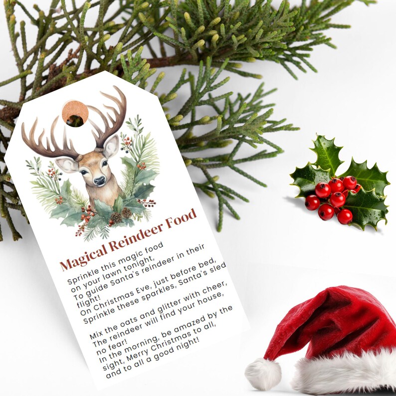 Reindeer Food Poem Christmas Eve Kid Activity Santa Reindeer Food Tag ...