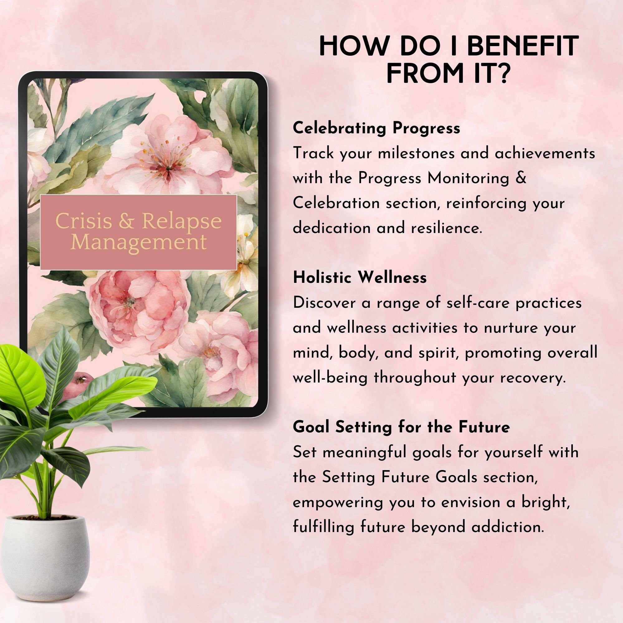 Addiction Recovery Planner Relapse Prevention Plan Addiction Worksheets ...