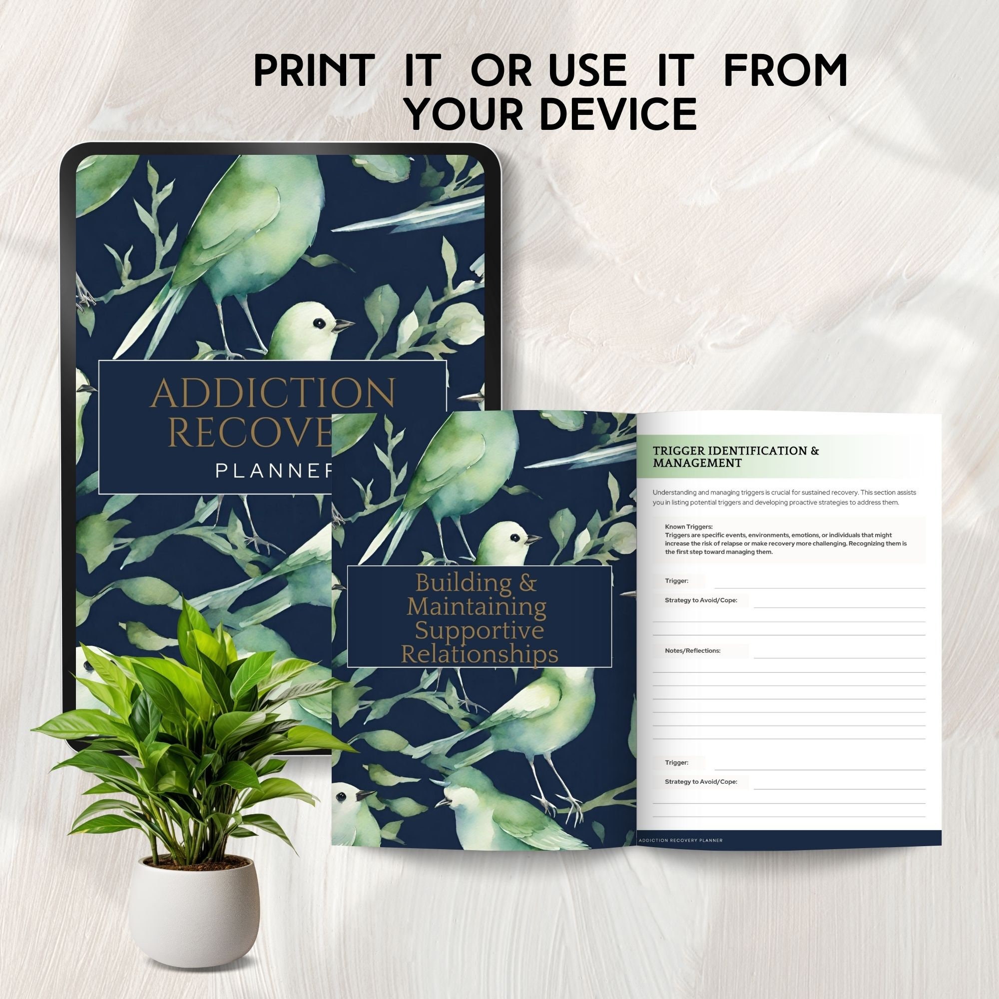 Addiction Recovery Planner Relapse Prevention Plan Worksheet for ...