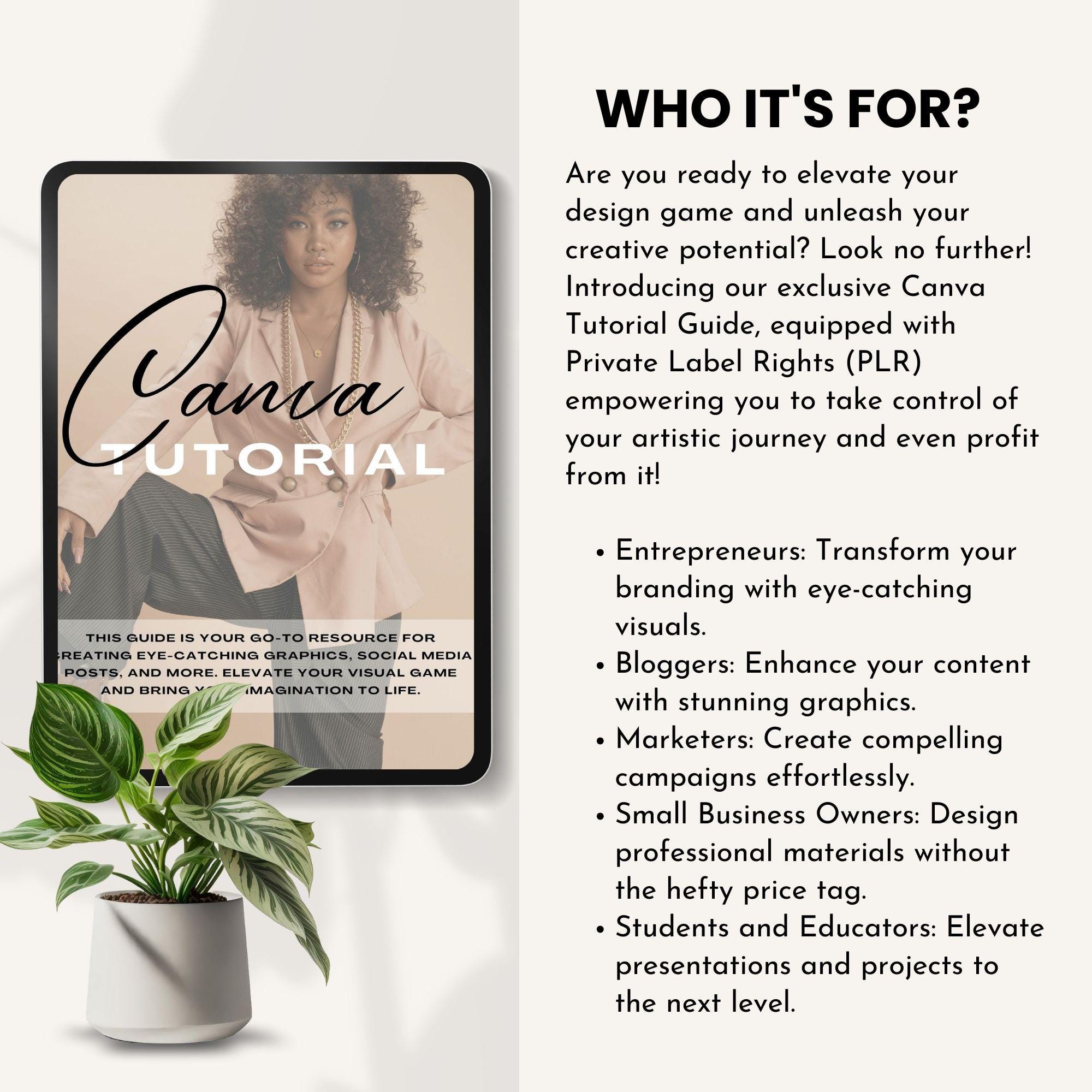 Canva Crash Course Guide Canva 101 Tutorial Guide Canva Cheat Sheet How ...