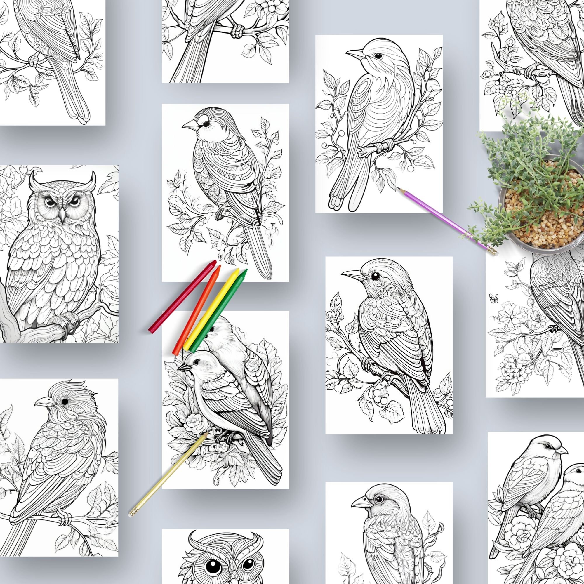 Coloring Birds Images for Mindfulness Mandala Pattern Coloring Page for ...