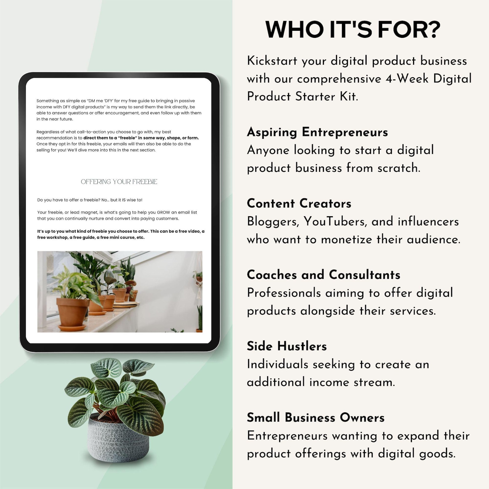 Digital Product Business Starter Kit Plr Digital Product Starter Guide ...
