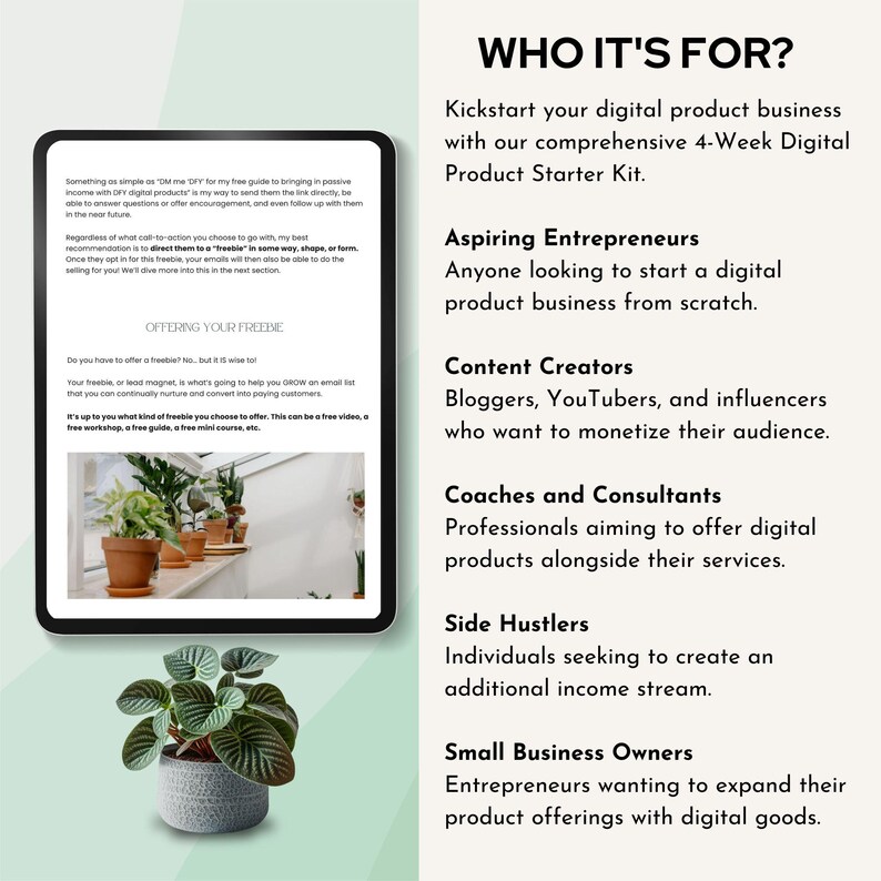 Digital Product Business Starter Kit Plr Digital Product Starter Guide ...