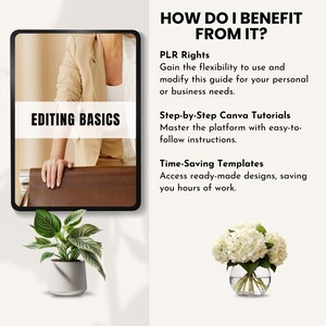 Canva Crash Course Guide Canva 101 Tutorial Guide Canva Cheat Sheet How ...