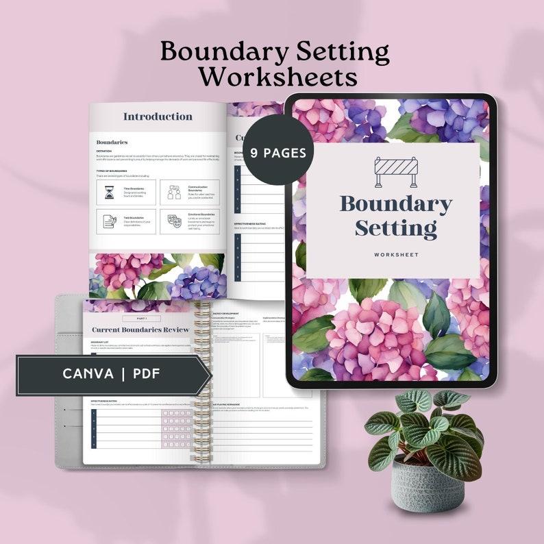 Boundary Setting Worksheet Setting Healthy Boundaries Workbook for Coach Personal Space Mental ...