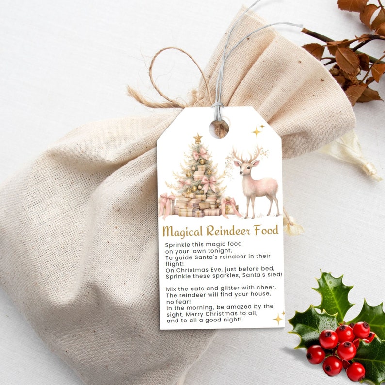 Reindeer Food Printable Pdf Magic Reindeer Food Tag Label for Kids ...