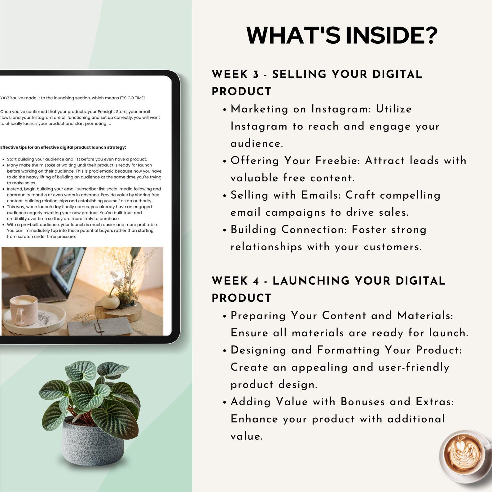 Digital Product Business Starter Kit Plr Digital Product Starter Guide ...