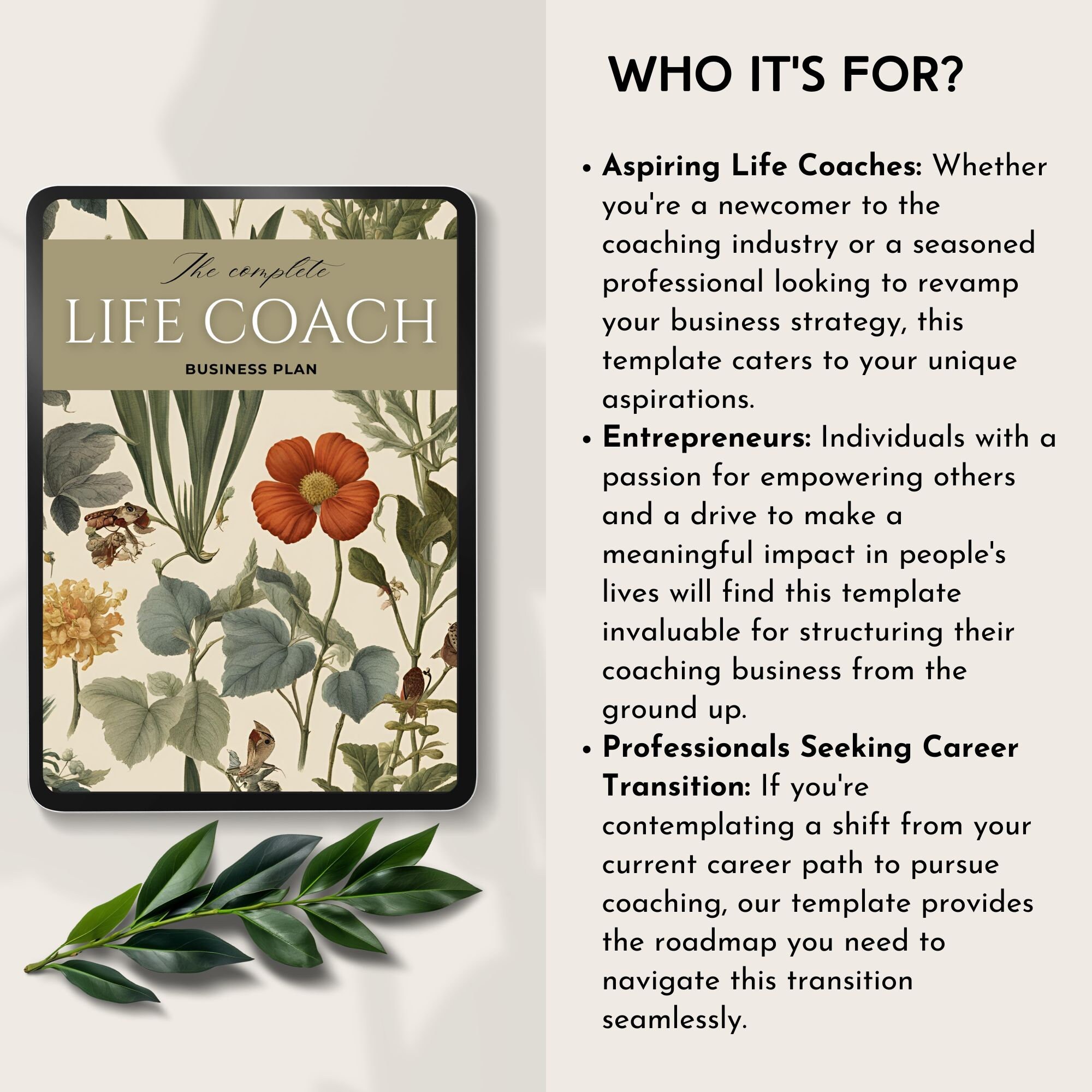 Life Coach Marketing Plan Business Plan Template for Life Coaching ...