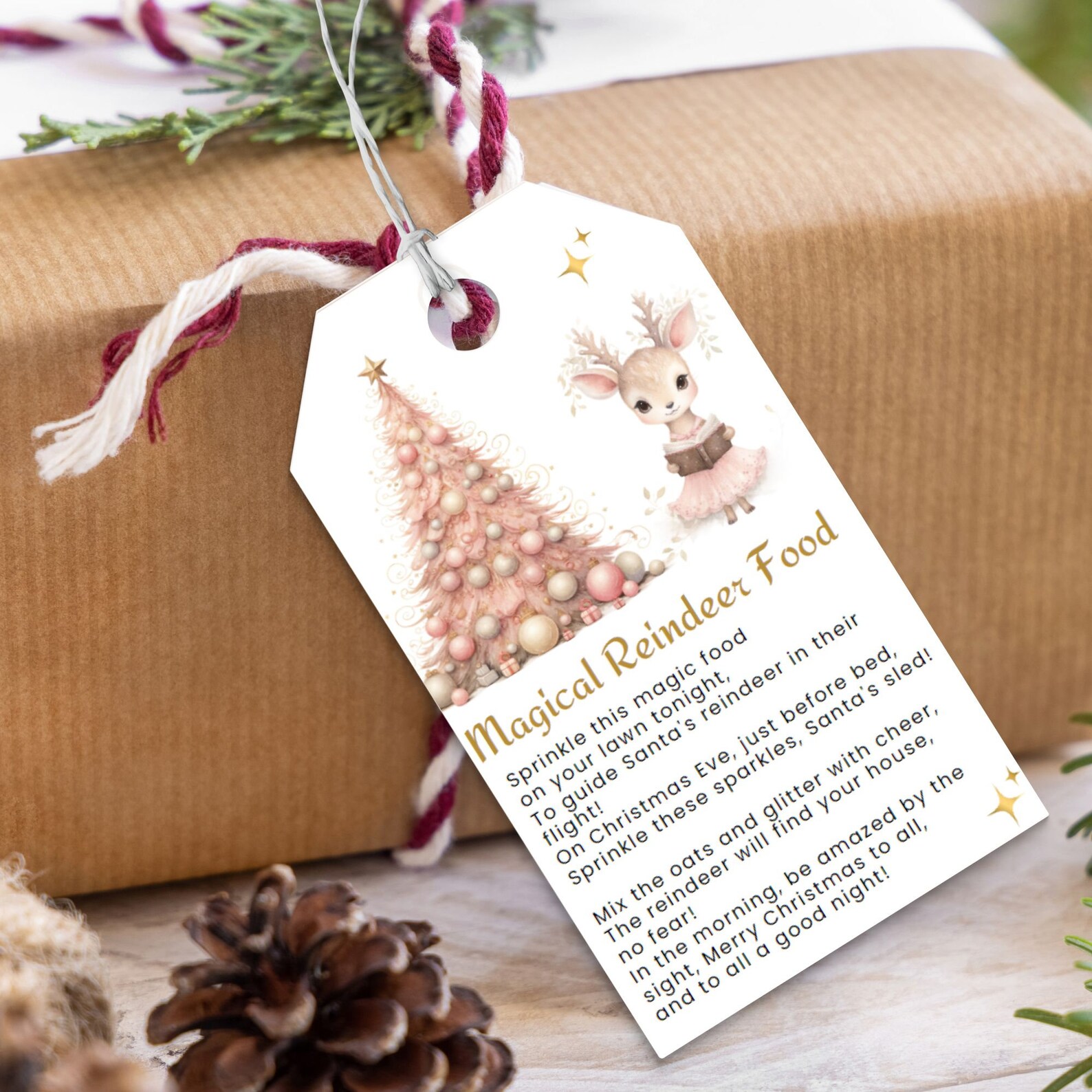 Reindeer Food Printable Pdf Magic Reindeer Food Tag Label for Kids ...