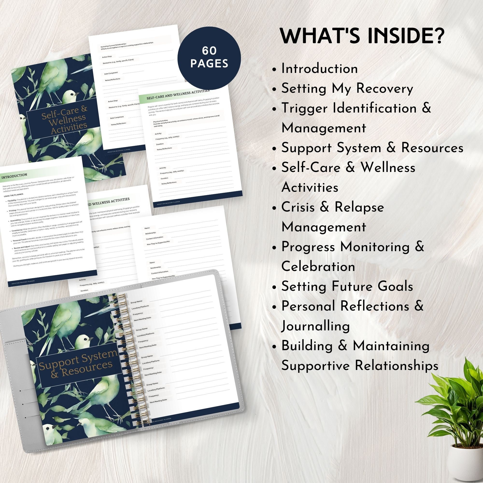 Addiction Recovery Planner Relapse Prevention Plan Worksheet for ...