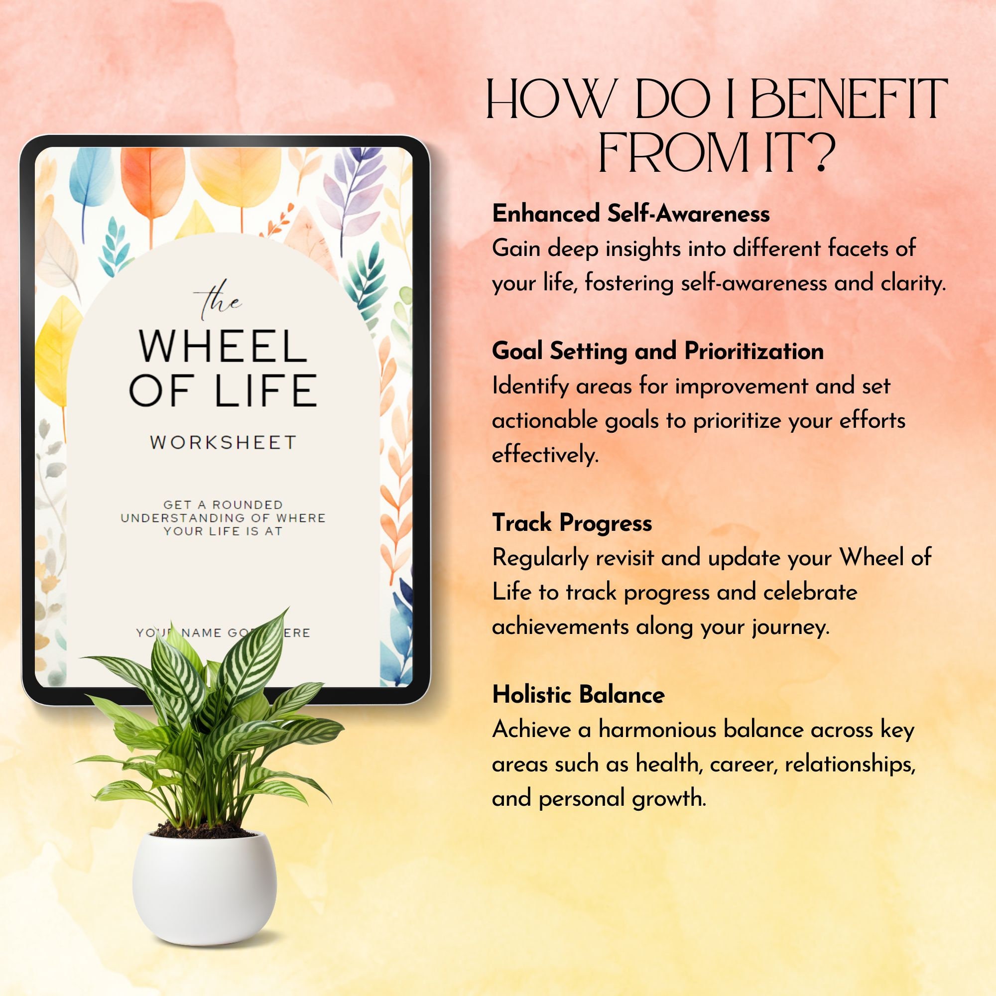 Wheel of Life Worksheet Wheel of Balance Life Goal Setting Coaching ...