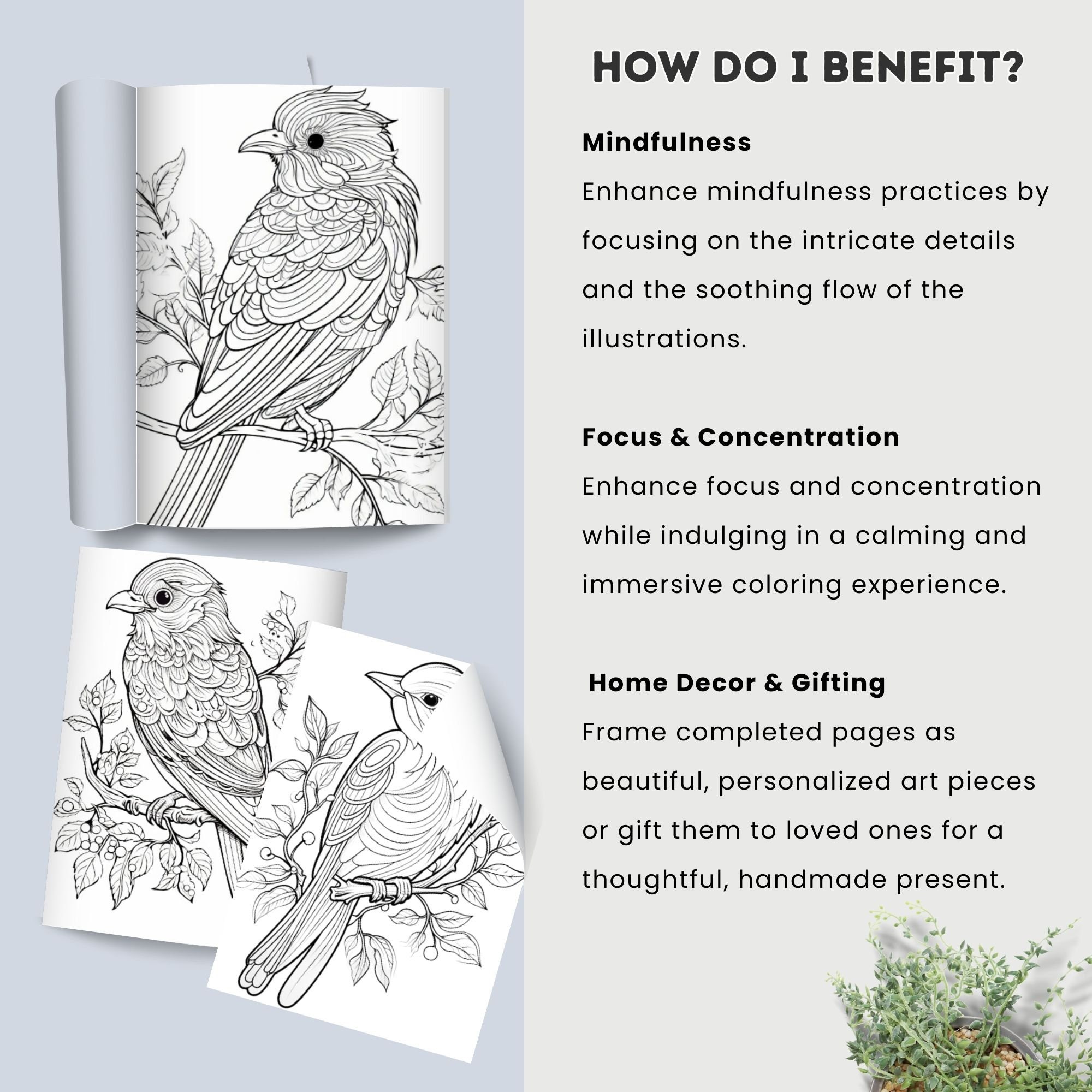 Coloring Birds Images for Mindfulness Mandala Pattern Coloring Page for ...