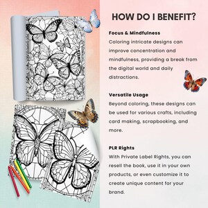 Stained Glass Butterfly Coloring Book for Adults Kid Butterflies Glass ...