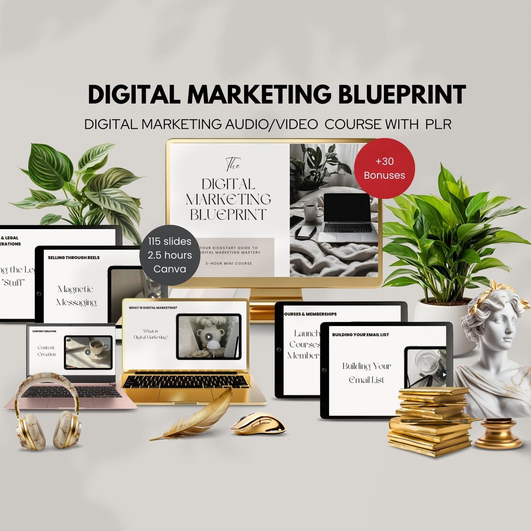 The Digital Marketing Mini Course Blueprint DFY Beginner Digital ...