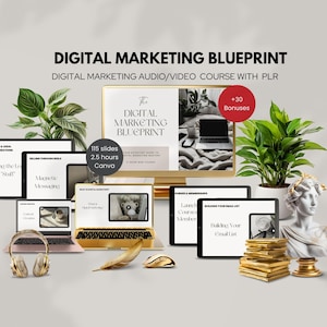 The Digital Marketing Mini Course Blueprint DFY Beginner Digital ...