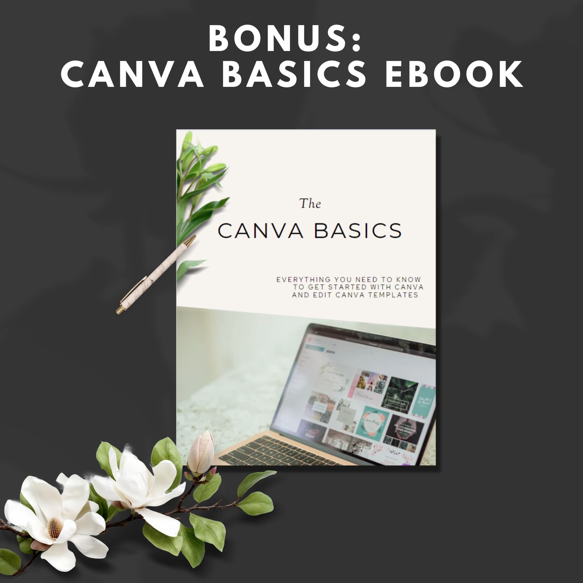 Web Designer Instagram Carousels Social Media for Website Designer ...