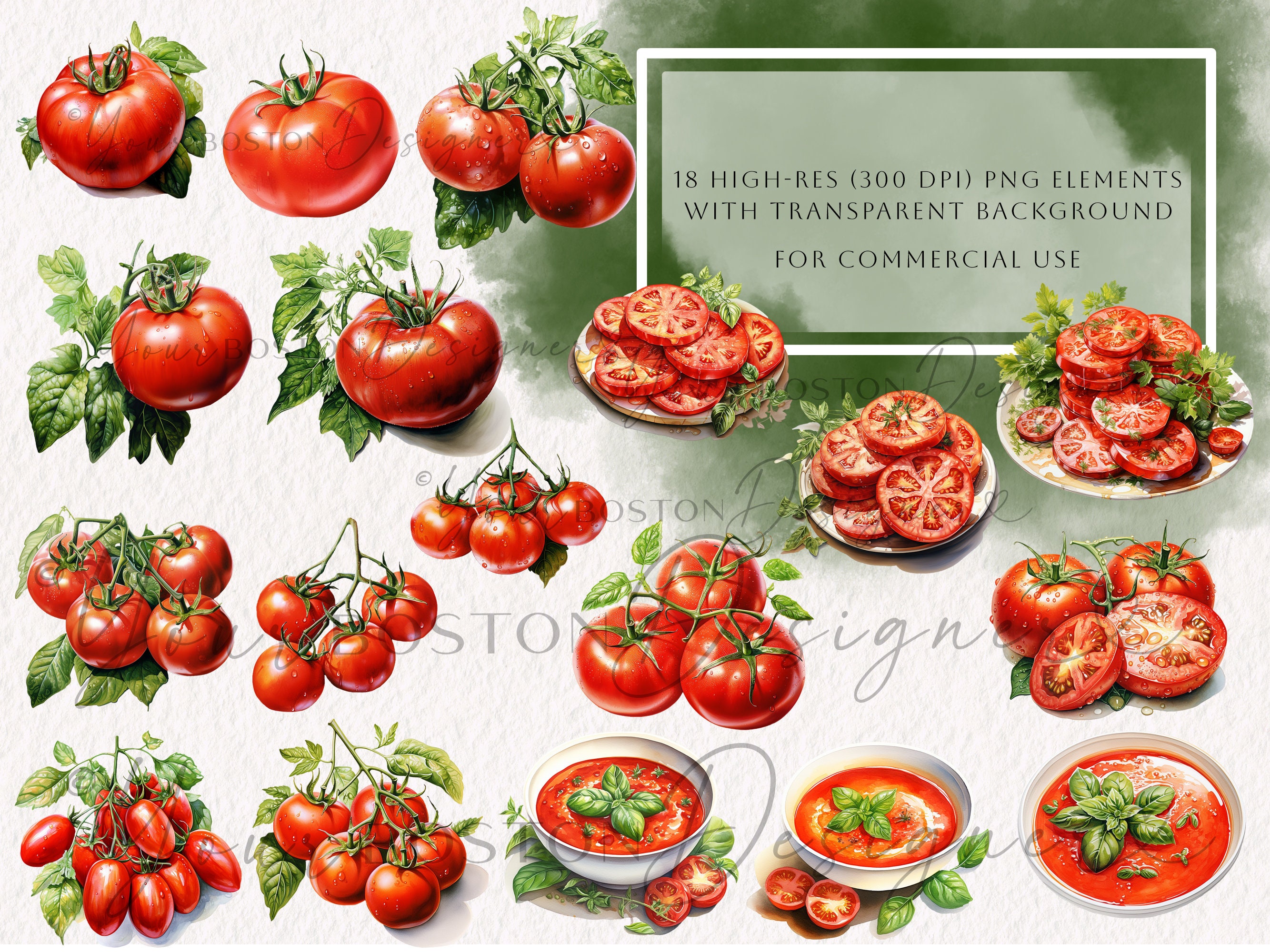 Tomato Watercolor Clipart Set | Tomato Clipart | Commercial Use OK ...