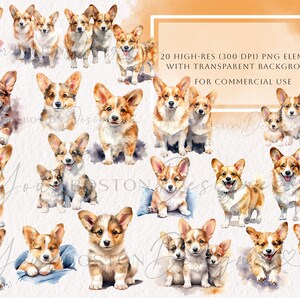 Corgi Watercolor Clipart Set | Welsh Corgi Clipart | Dog Clipart ...