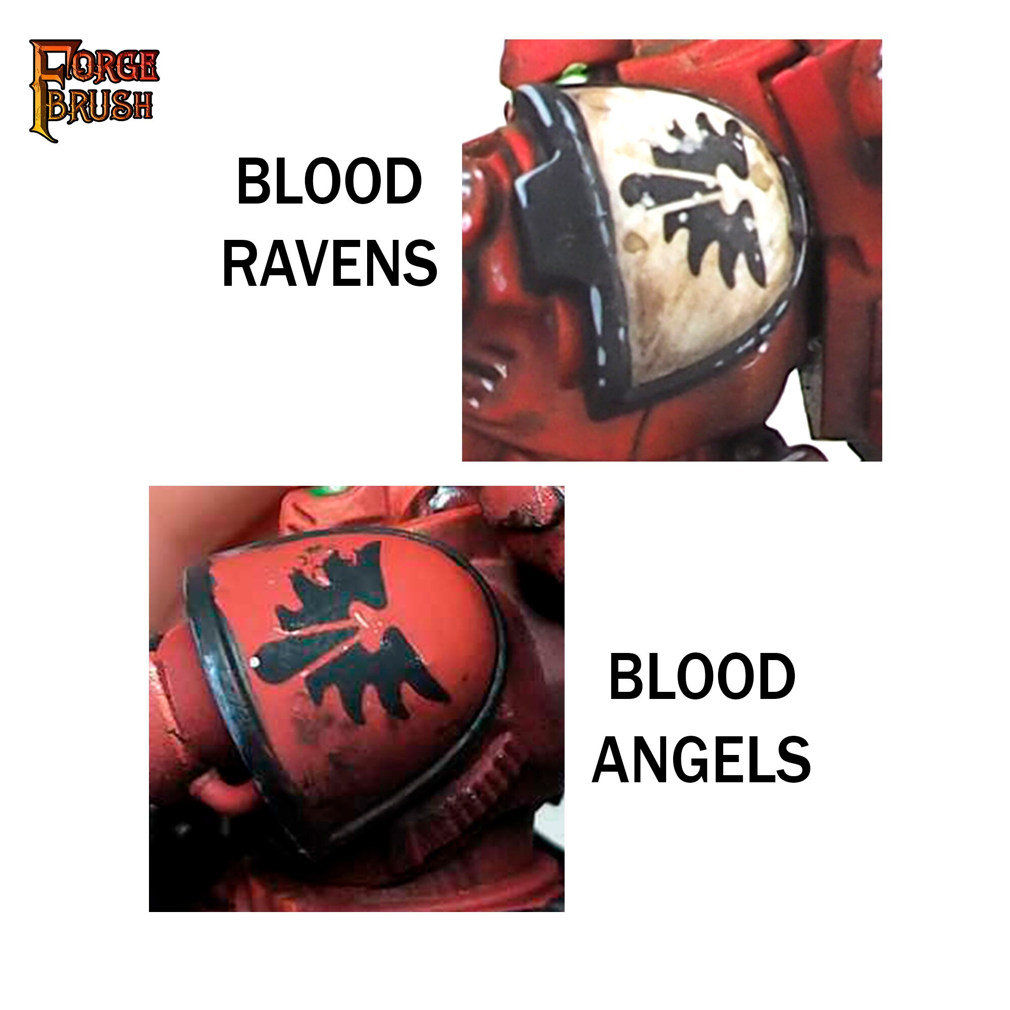 Blood Angels, Painted Army, PREMIUM LEVEL. Commission Painting ...