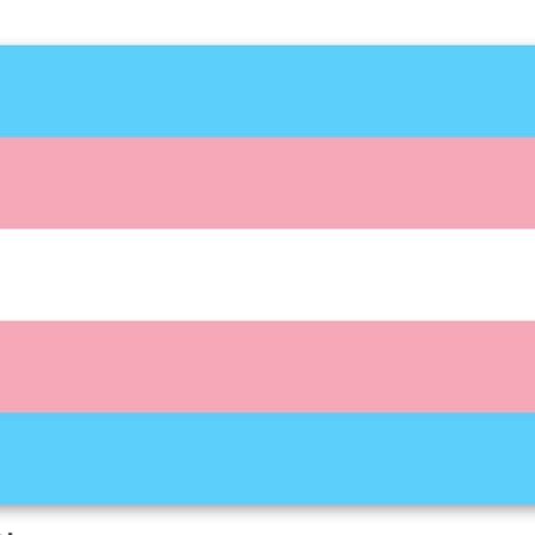 Trans Flag Blanket - Etsy