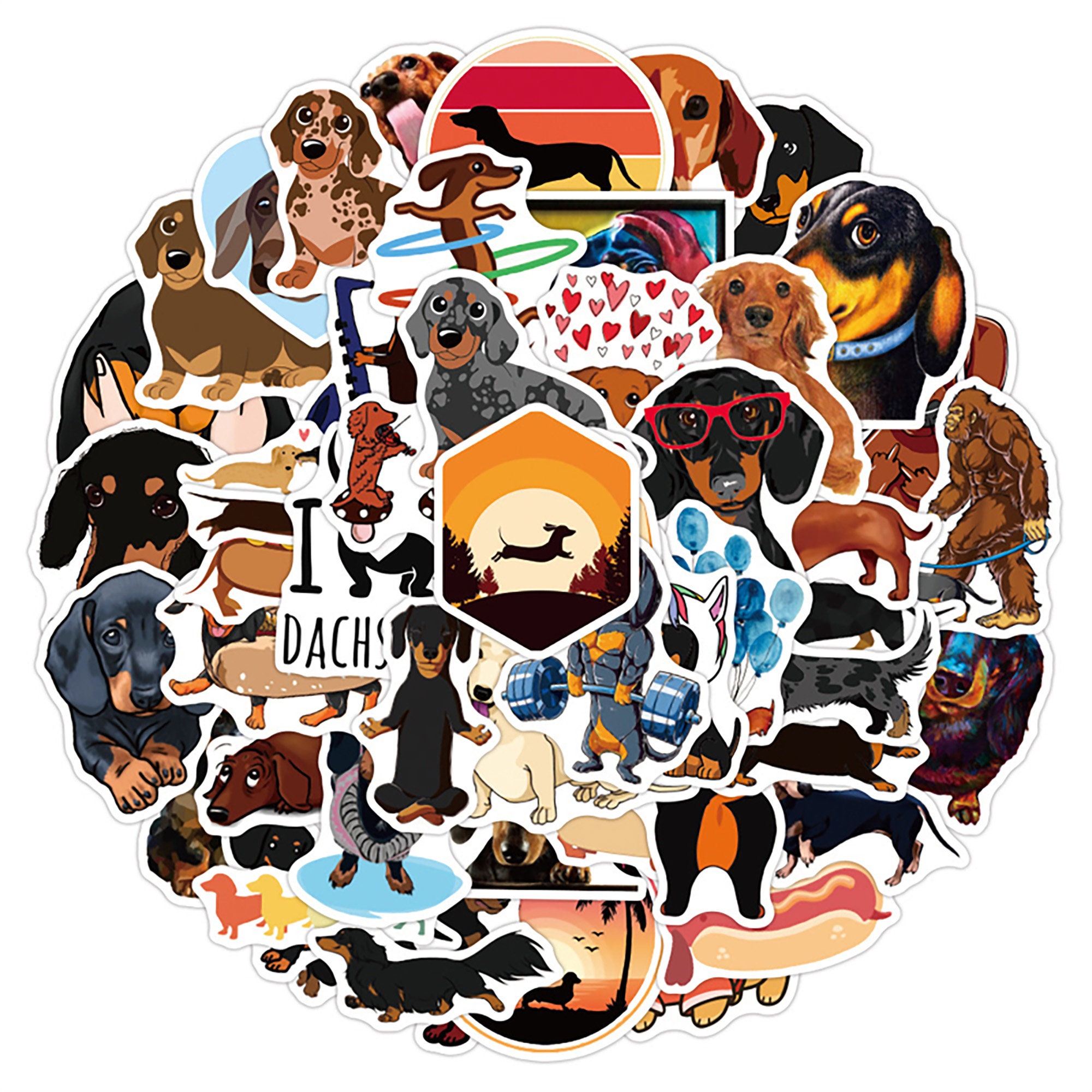 50 Cute Dachshund Stickers Pack Assorted Dachshund Decal Vinyl - Etsy