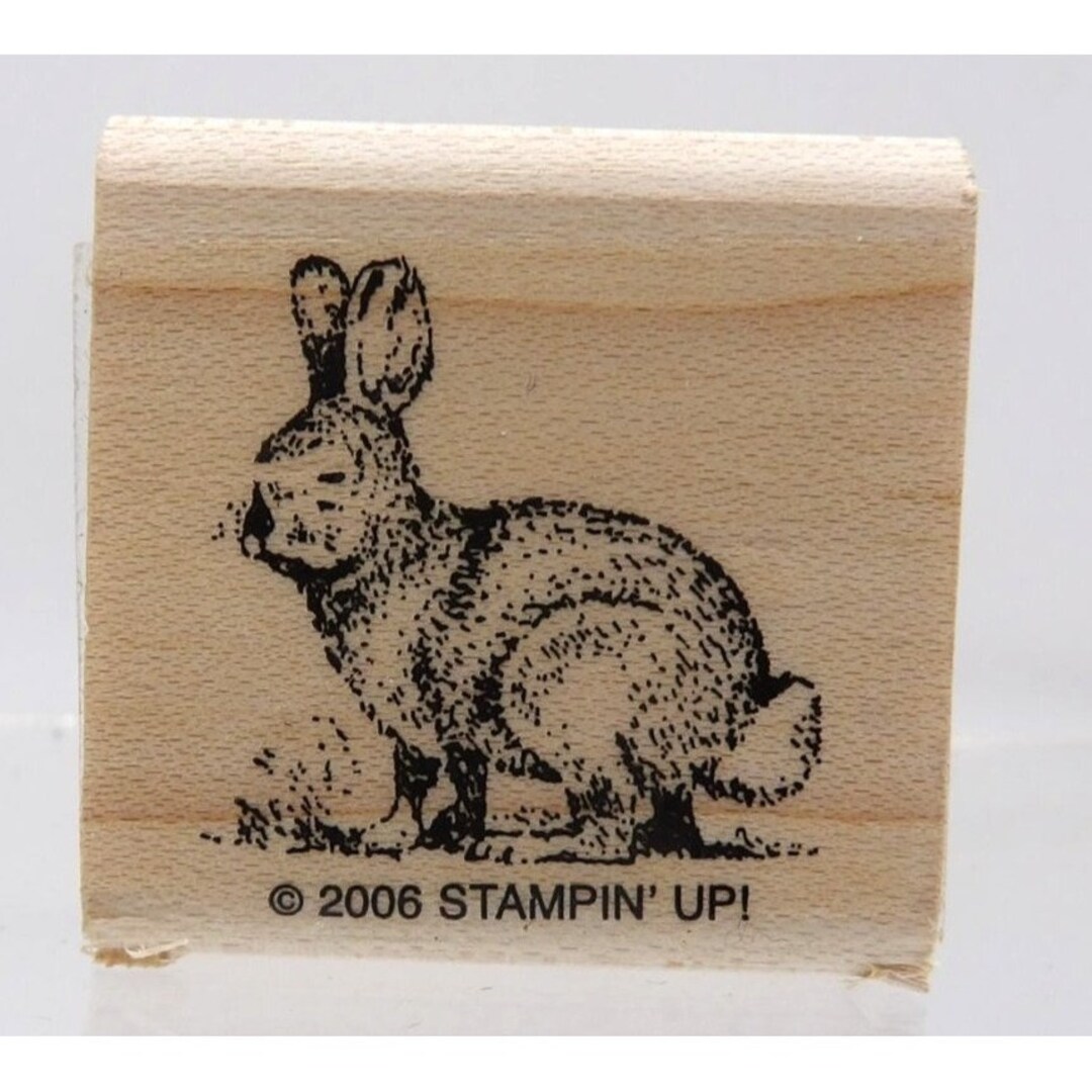 Rabbit Stamp ©2006 Stampin' Up Realistic Detail - Etsy