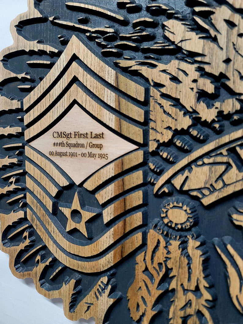 USAF Chief Master Sergeant Plaque - Air Force Plaque - E9 Plaque - Air Force - Military - Etsy