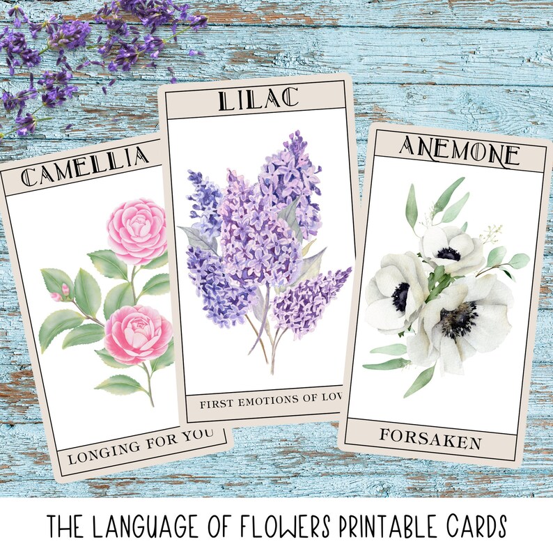 The Language of Flowers Printable Tarot Style Cards | Transparent PNG ...