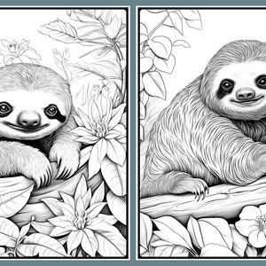 40 Charming Sloths Coloring Pages, Sloths Printable Grayscale Coloring ...