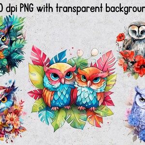30 Floral Owls PNG Cliparts, Watercolor Cute Birds and Flowers ...