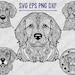 5 Labrador Retriever SVG Bundle, Dog Zentangle Mandala SVG, Set of Dog ...