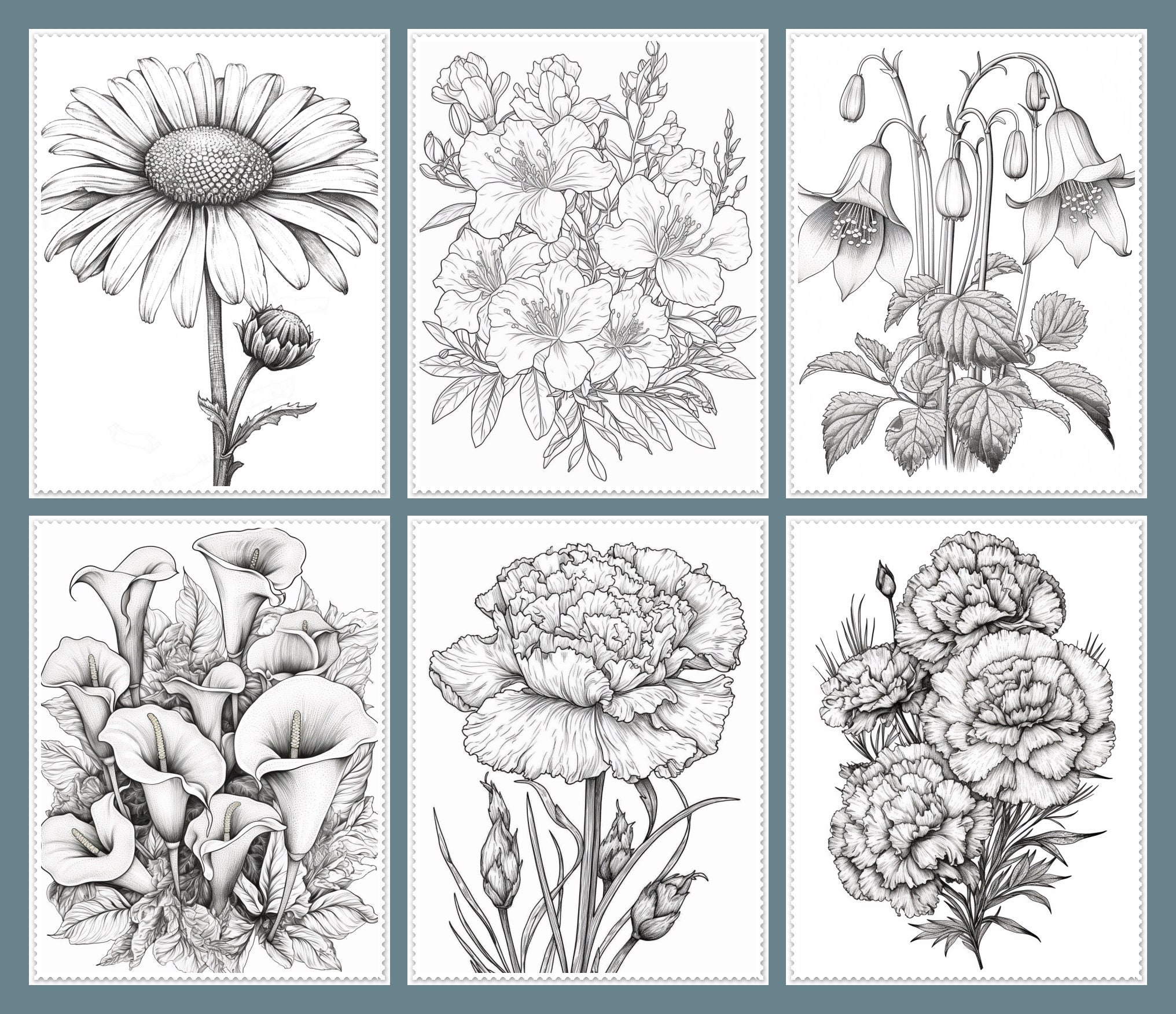 26 Flowers Coloring Pages Adults Kids Printable Grayscale - Etsy