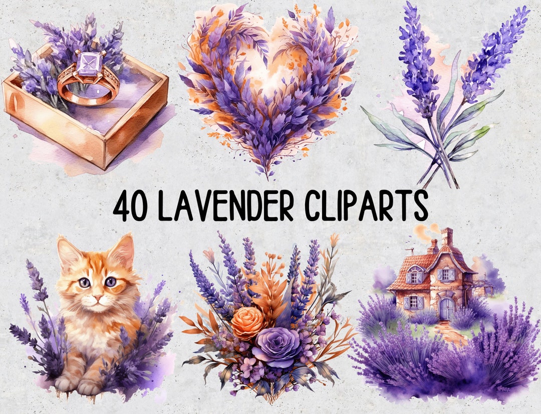 40 Lavender PNG Sublimation Clip Art, Set of Transparent Watercolor PNG ...