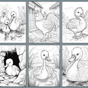 30 Ugly Duckling Coloring Pages, Fairy Tale Printable Grayscale ...