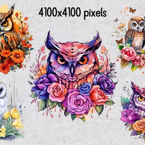 30 Floral Owls PNG Cliparts, Watercolor Cute Birds and Flowers ...