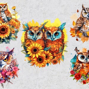 30 Floral Owls PNG Cliparts, Watercolor Cute Birds and Flowers ...