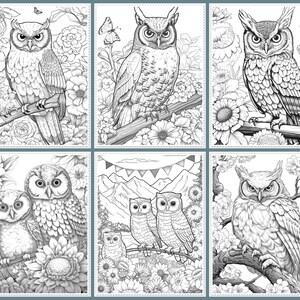 36 Gorgeous Owls Coloring Pages, Floral Owls Printable Grayscale ...
