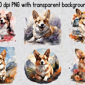 32 Corgi PNG Cliparts, Watercolor Corgi and Flowers Sublimation Clipart ...