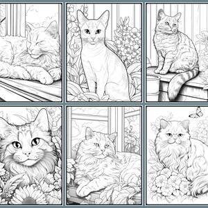 35 Realistic Cats Coloring Pages, Lifelike Cats Printable Grayscale ...