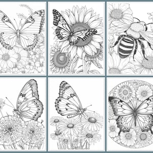 30 Bees and Butterflies Coloring Pages, Adults Printable Coloring Page ...