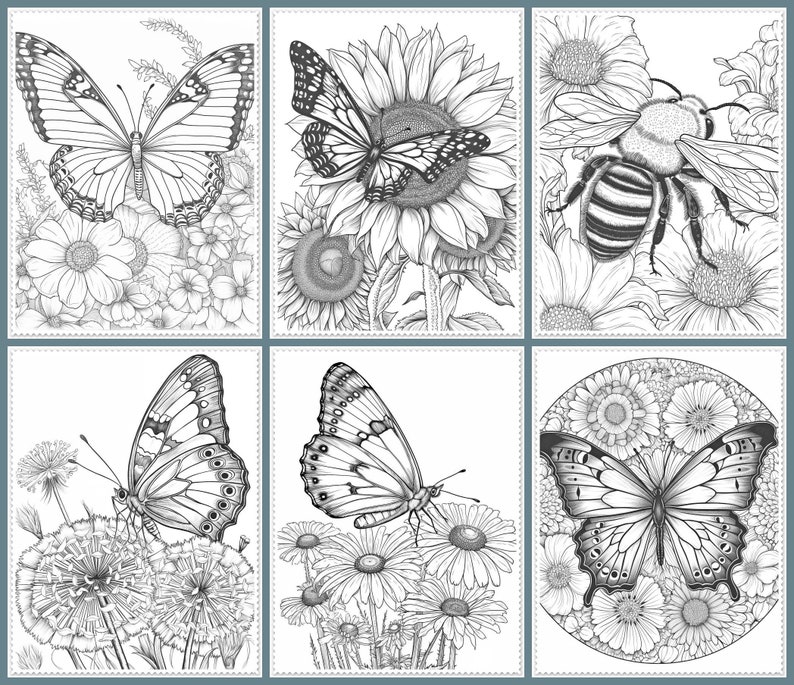 30 Bees and Butterflies Coloring Pages Adults Printable - Etsy
