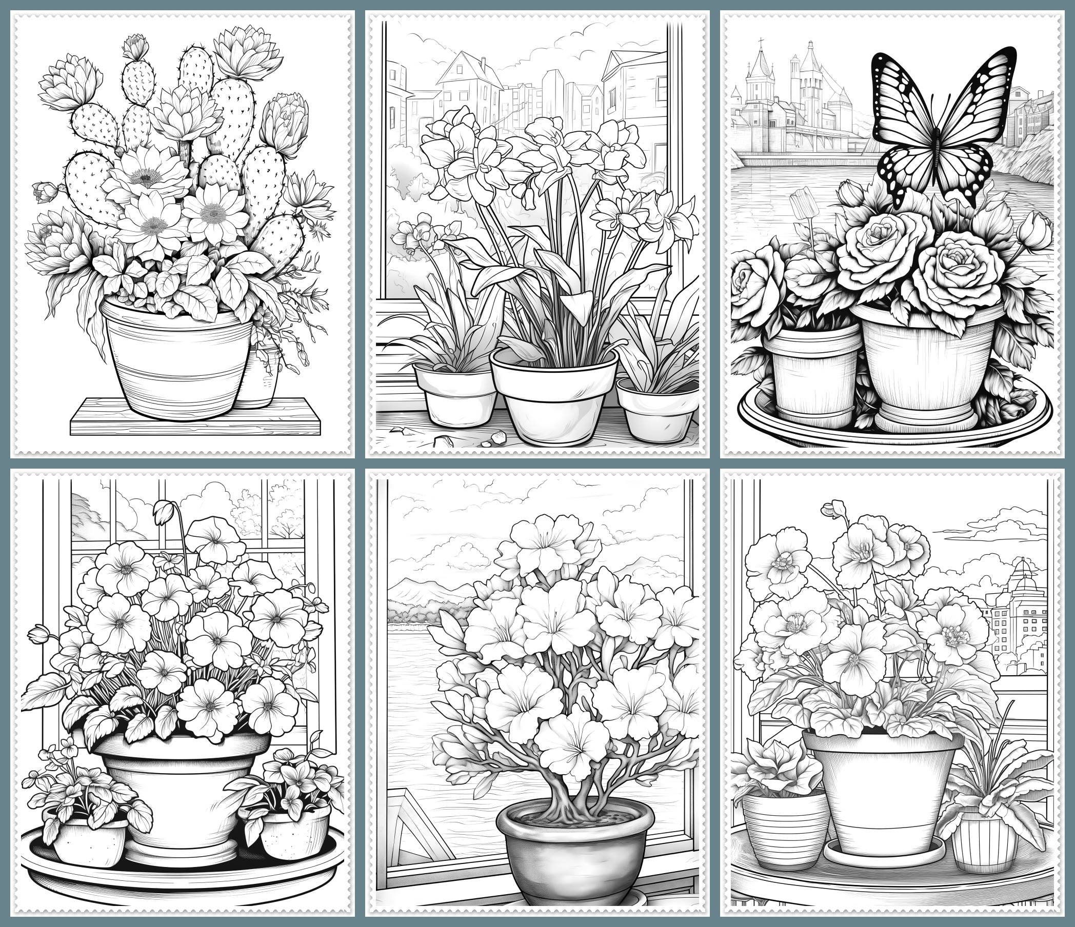 30 Home Flowers Coloring Pages Home Flowers Printable - Etsy