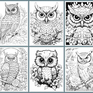 36 Gorgeous Owls Coloring Pages, Floral Owls Printable Grayscale ...