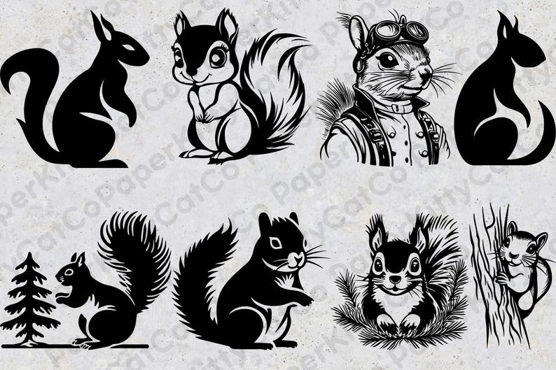 50 Squirrel PNG & SVG Bundle, Squirrel SVG Silhouettes Sublimation ...