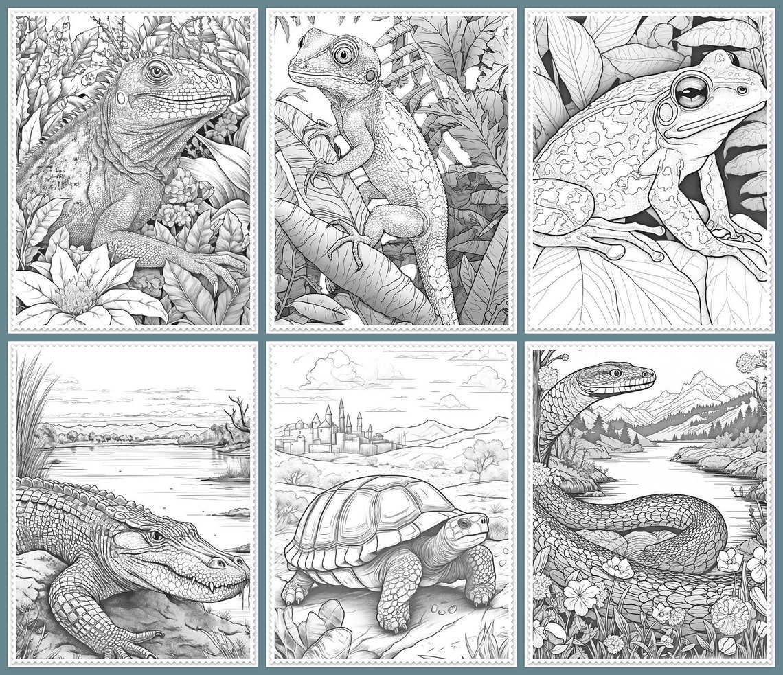 25 Reptiles Coloring Pages, Adults Printable Coloring Page, Reptiles ...