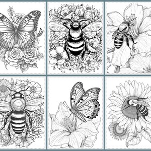 30 Bees and Butterflies Coloring Pages, Adults Printable Coloring Page ...